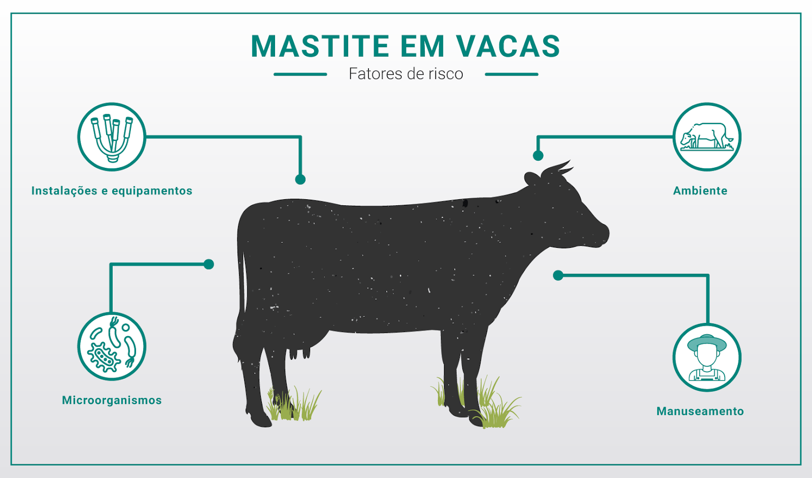 Mastite em vacas: impactos na produção de leite